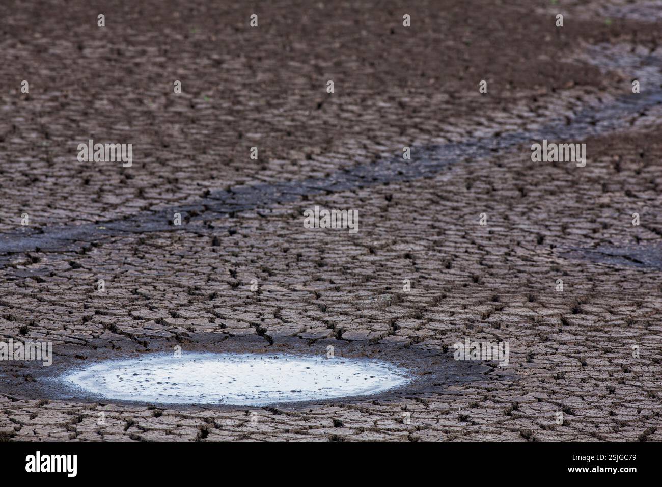 Kenya, Mud cracks, Ol Pejeta Conservancy, Abstract, Drying mud puddle ...