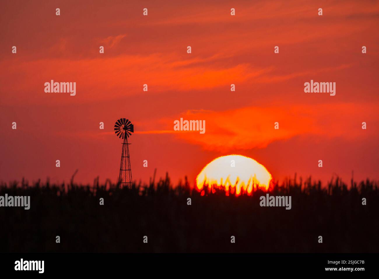 Africa, Gauteng Province, Marievale Bird Sanctuary, Silhouette, South ...