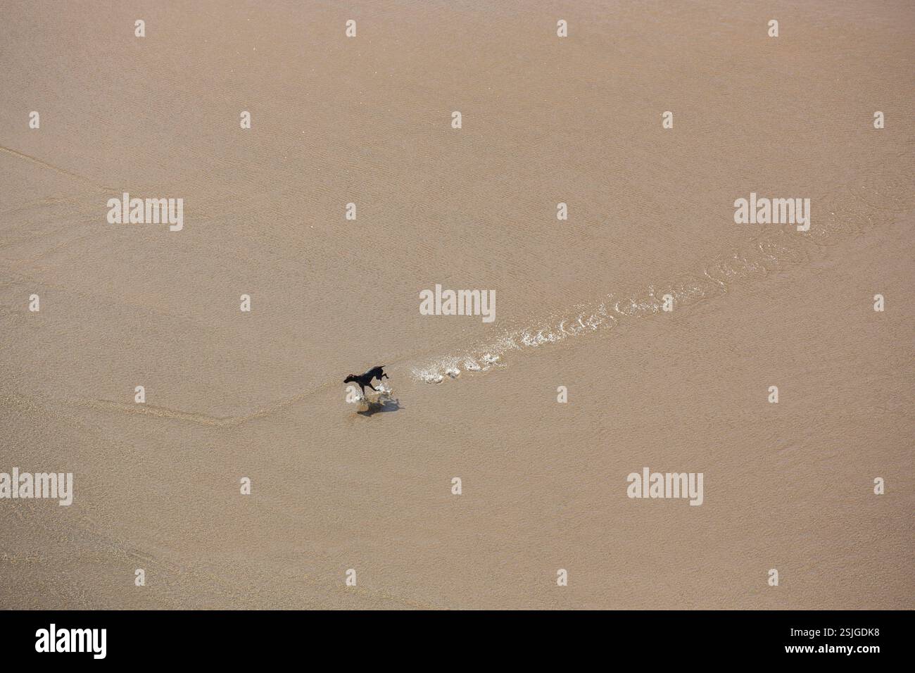 Gwaing hi-res stock photography and images - Alamy