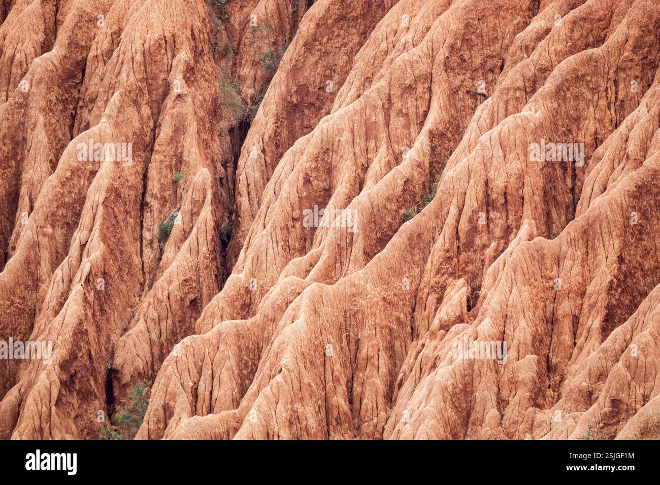 Erosion Gully, Addo Elephant National Park, South Africa Stock Photo ...