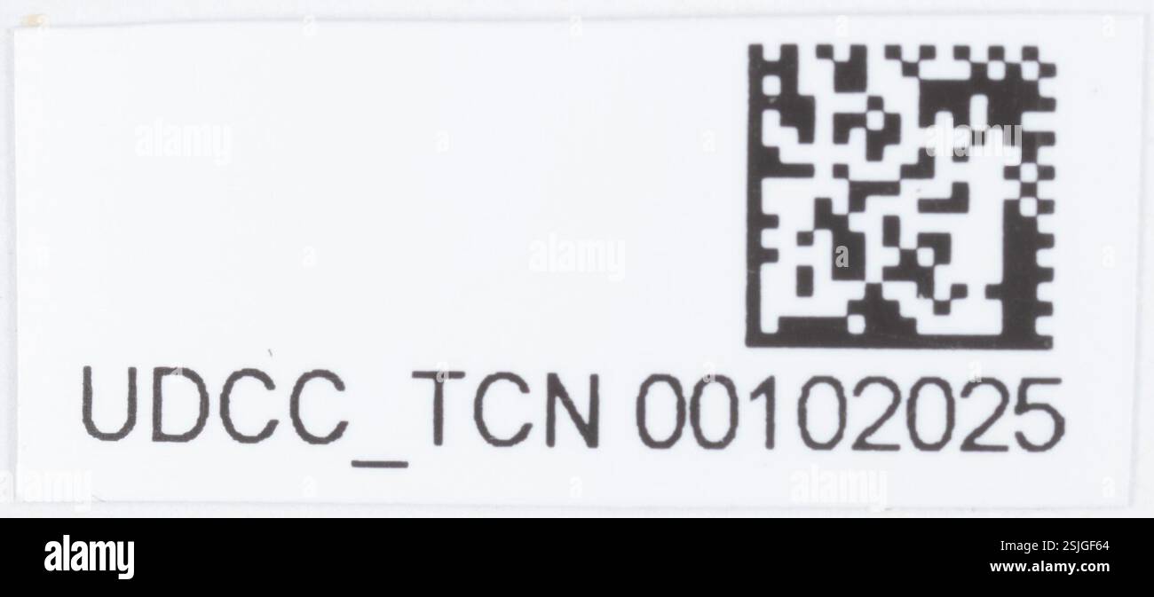 (Haplaxius spanglerorum), Insecta, Tingo María 10131, Peru, This is a ...