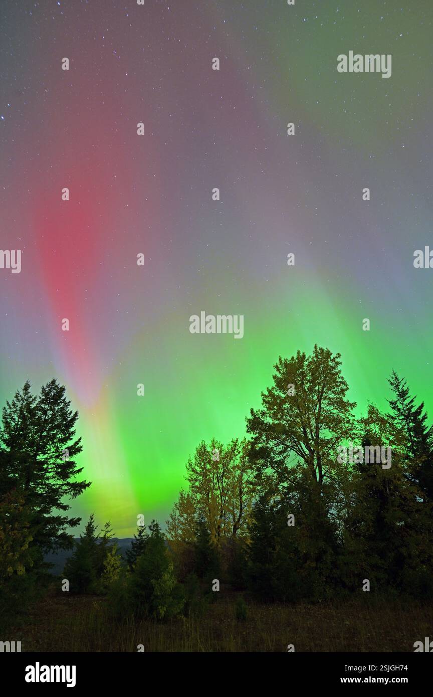 Northern Lights solar storm over the Purcell Mountains in fall ...