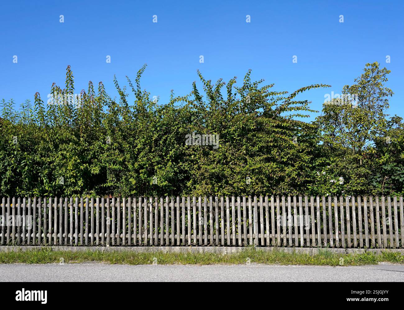 Germany, Bavaria, Upper Bavaria, Altötting district, wooden garden ...