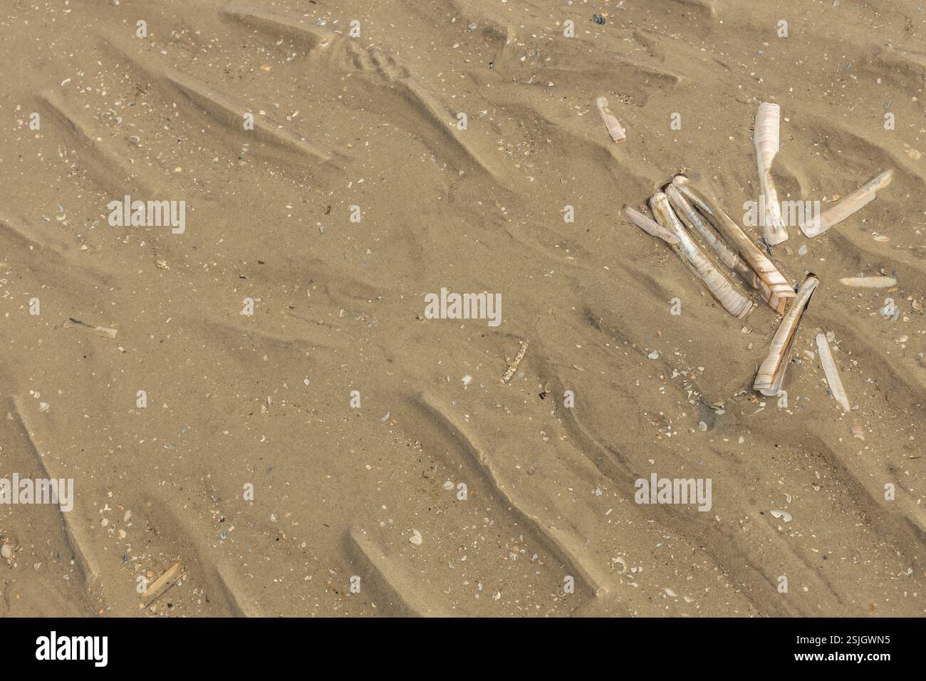 Structures and patterns in the sand at low tide on Lakolk beach, Rome ...