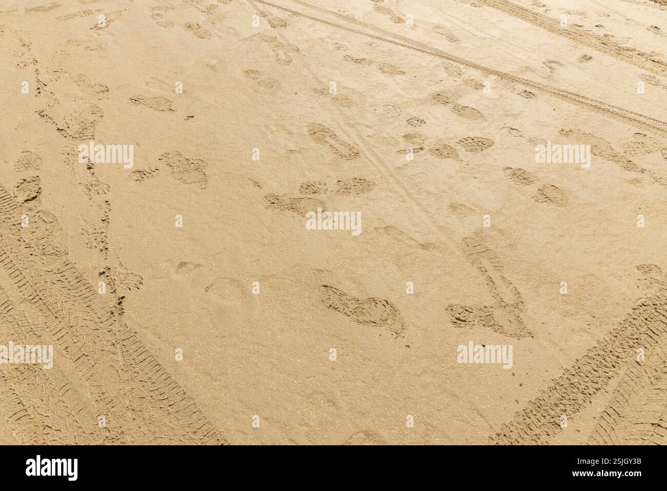 Tire tracks and shoe prints in the sandy soil on the beach at Lakolk on ...