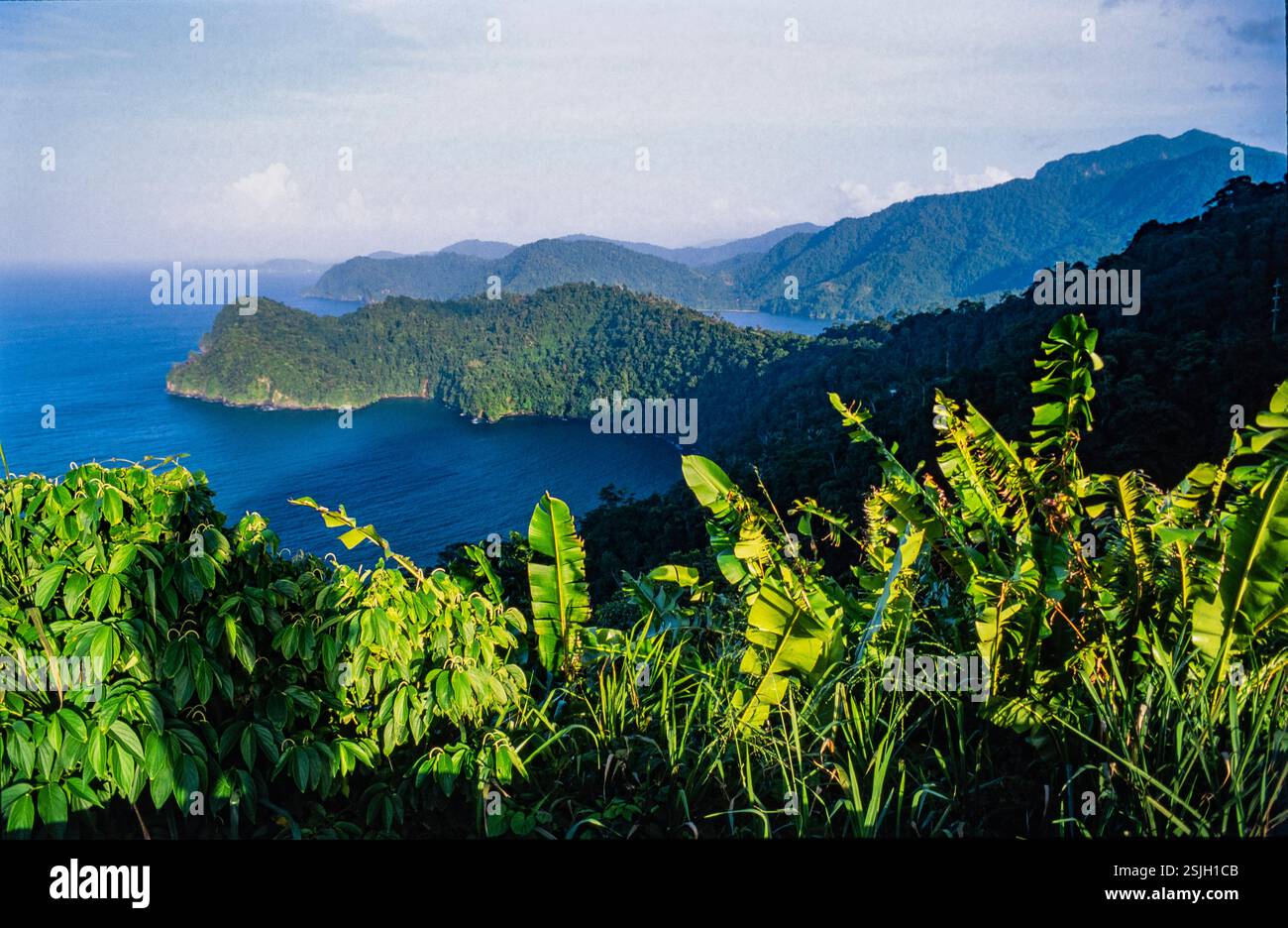 view from Maracas Lookout, Trinidad in 1990 Stock Photo - Alamy