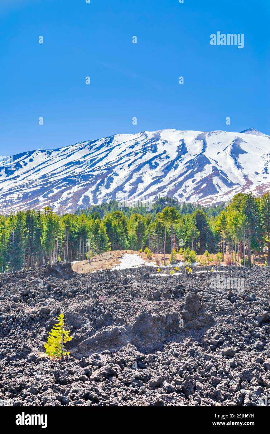 View of lava fields and snow-capped peaks in the distance, Etna, Sicily ...