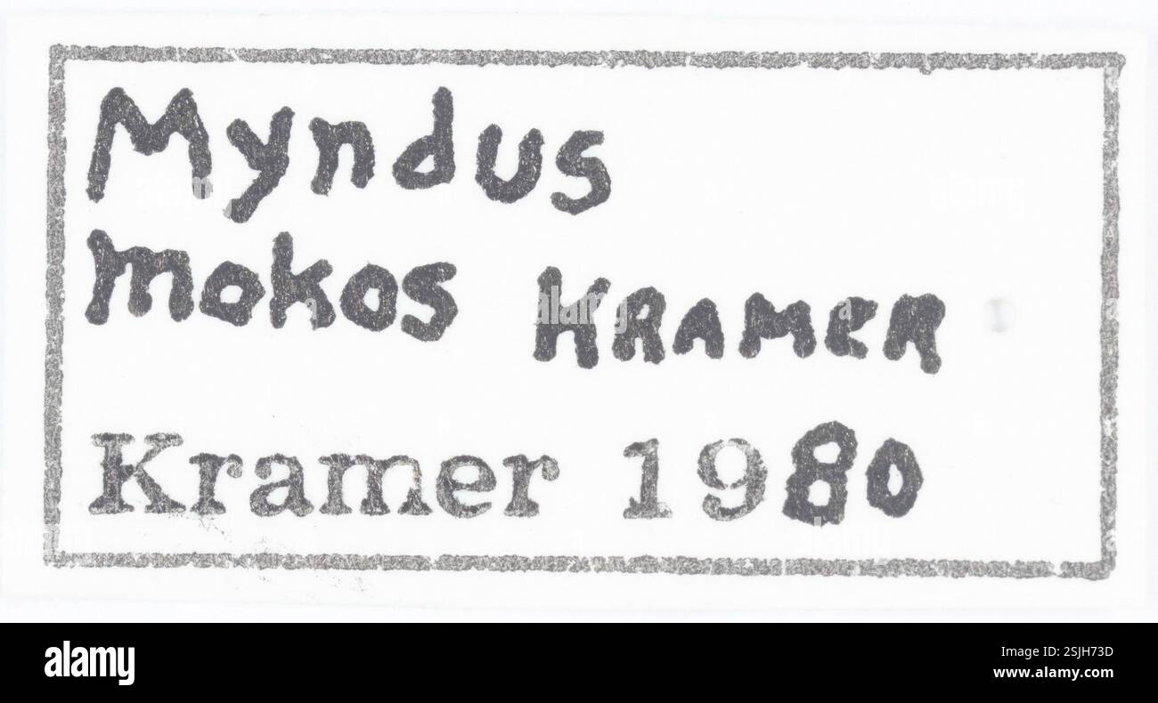 (Haplaxius mokos), Insecta, Celica 14-75, Loja, Ecuador, photographs ...