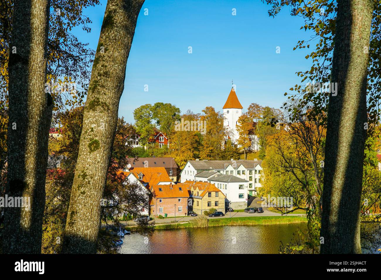 Beautiful view through the trees of Talsi old town with white church ...