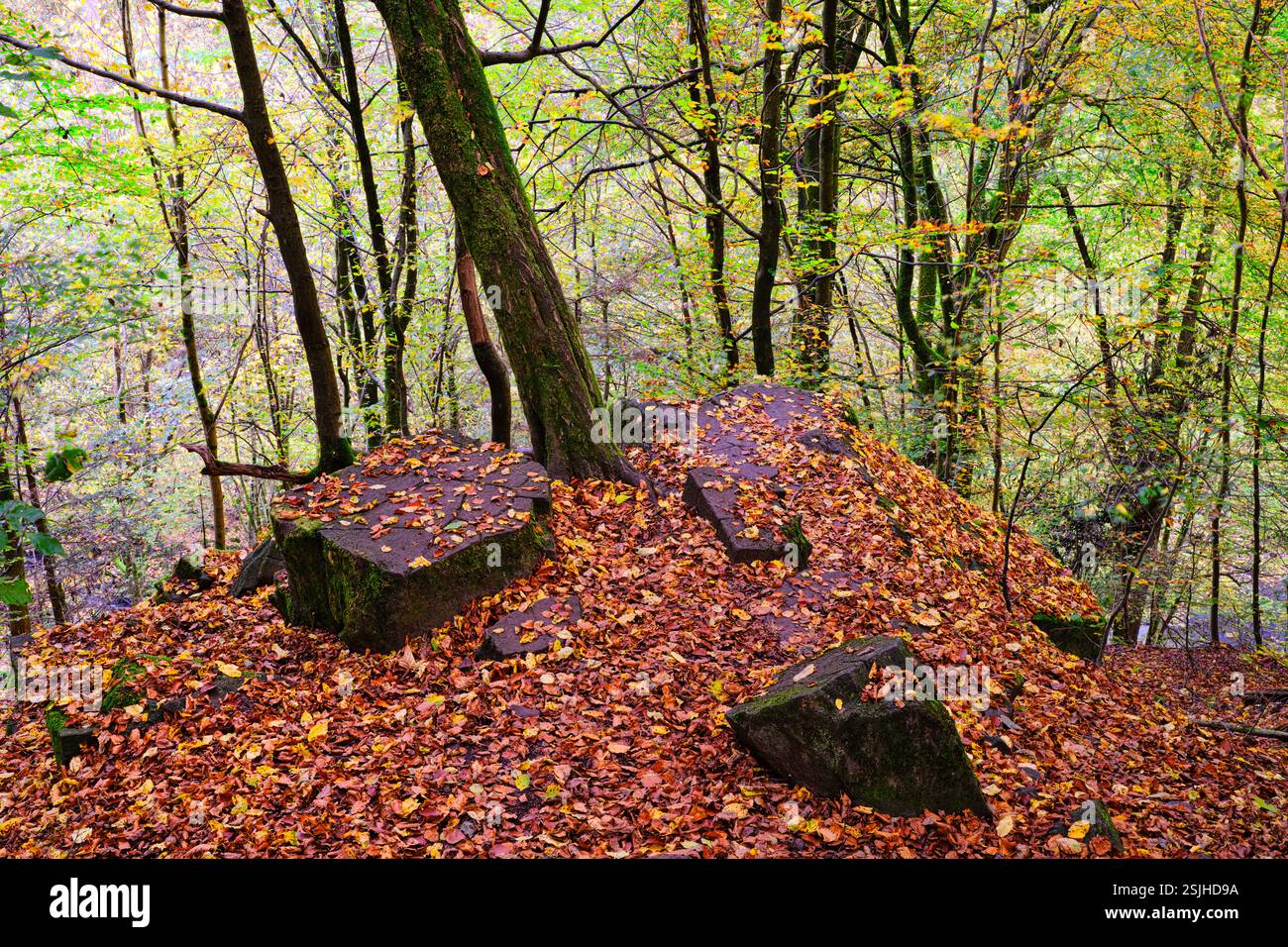Basalt stones on the steep slope hi-res stock photography and images ...