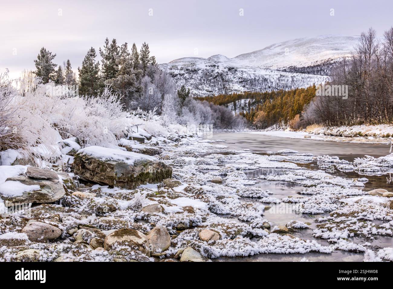 The River Atna in Rondane National Park in Norway in winter Stock Photo ...