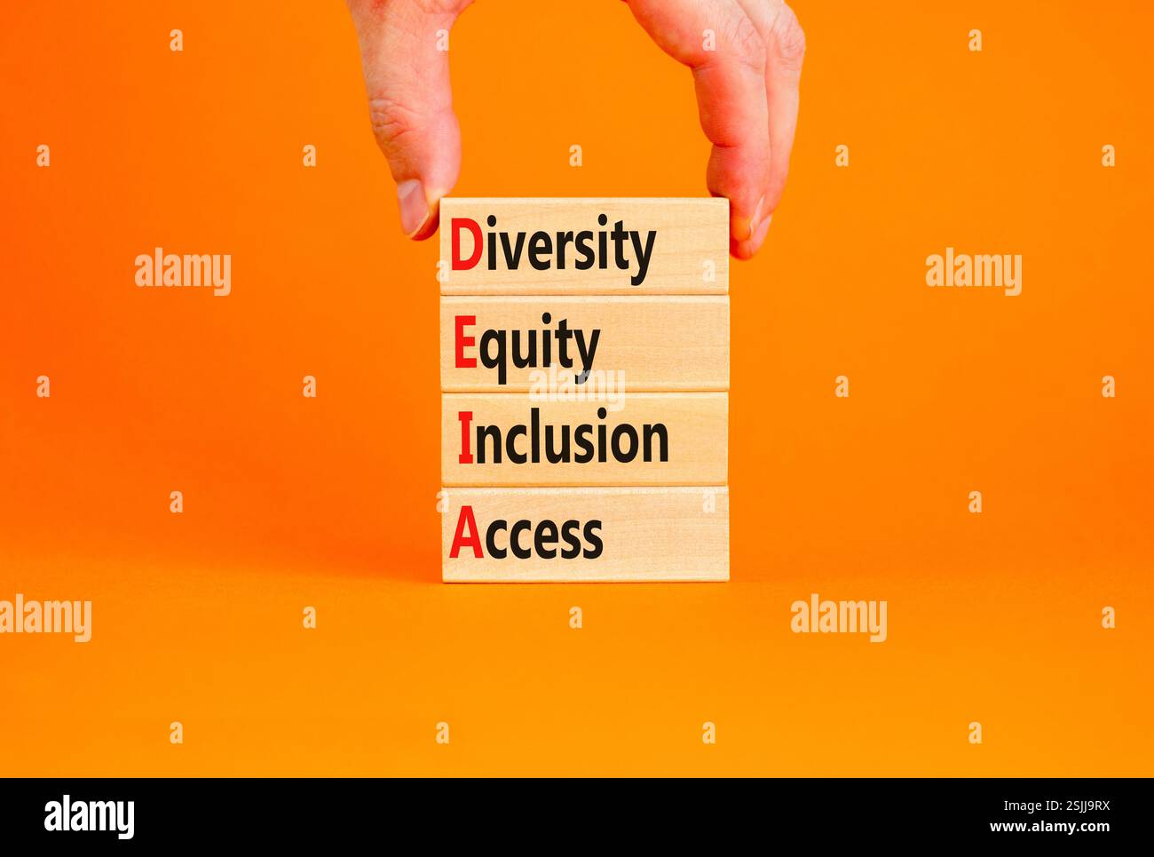 Diversity equity inclusion access symbol. Concept words DEIA diversity equity inclusion access ...