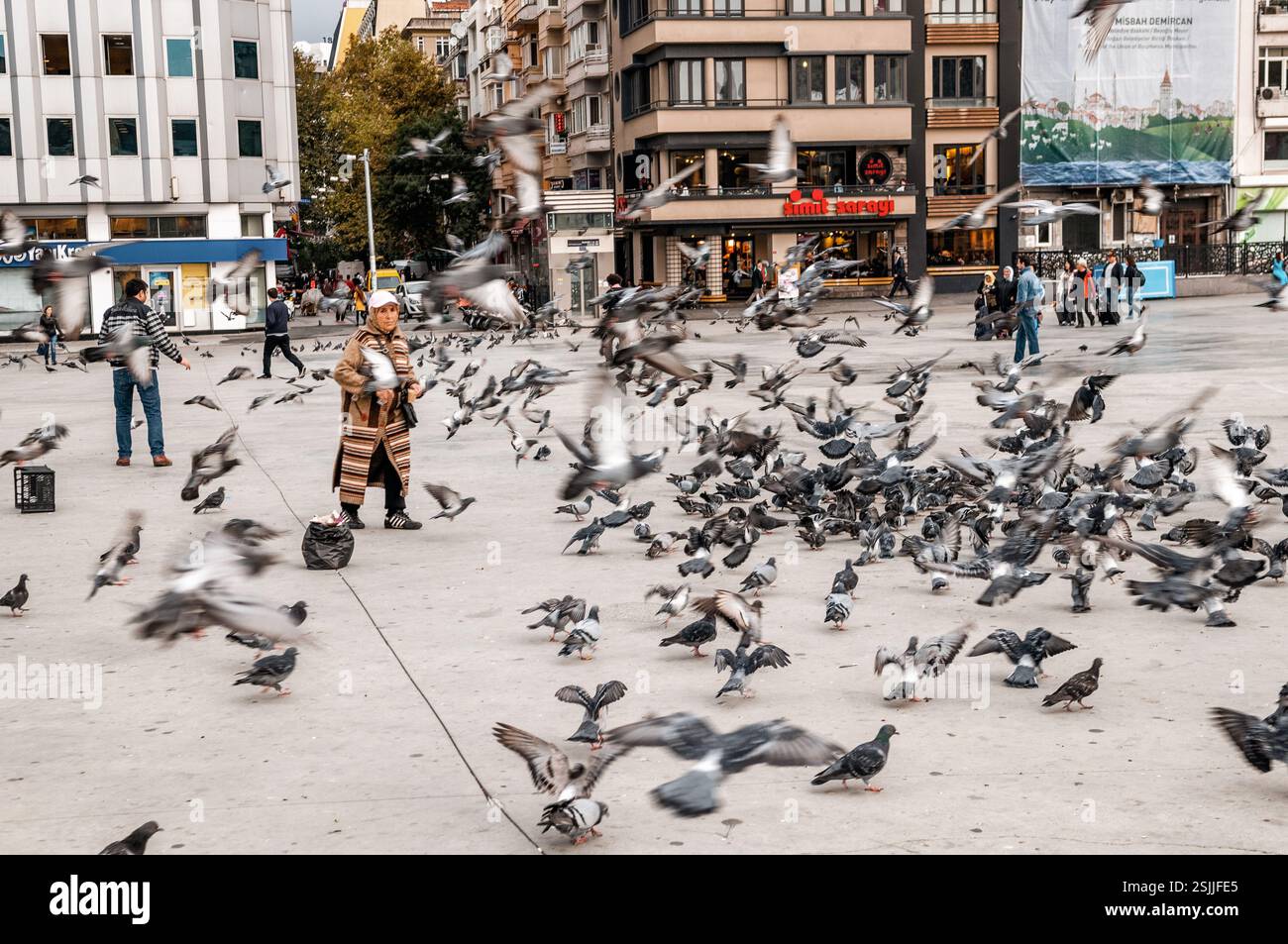 Pigeons on taksim square hi-res stock photography and images - Alamy