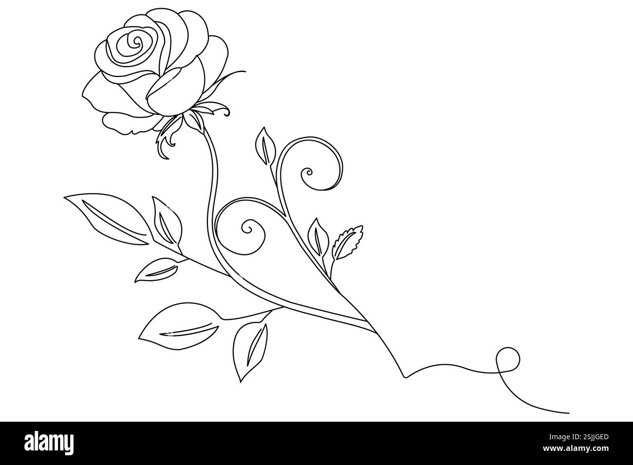 Rose line art drawing Images illustration collection Free Vector Stock ...