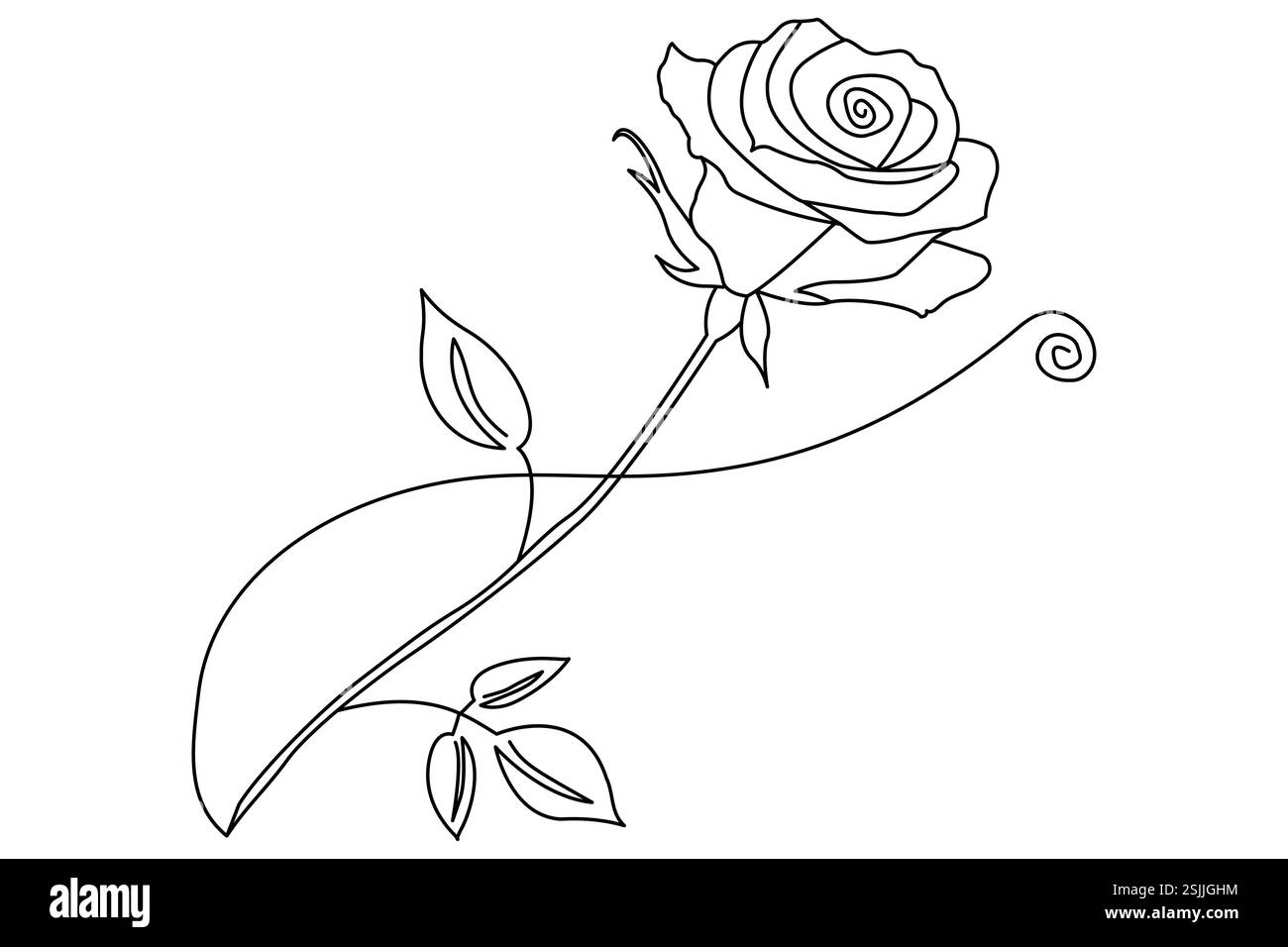 Rose line art drawing Images illustration collection Free Vector Stock ...