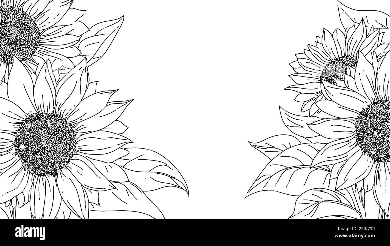Sunflower Drawing Template