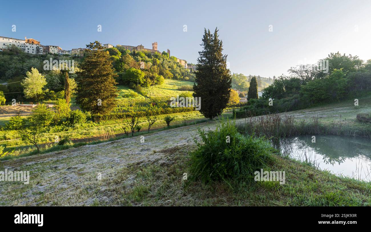 Pond near san miniato hi-res stock photography and images - Alamy