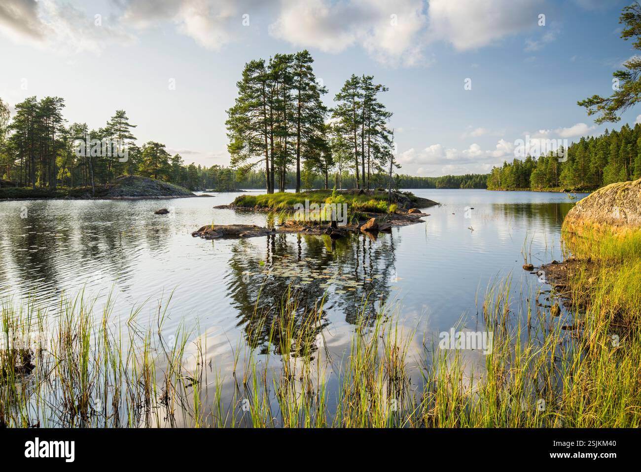 Lake in Glaskogen Nature Reserve, Värmlands Län, Sweden Stock Photo - Alamy
