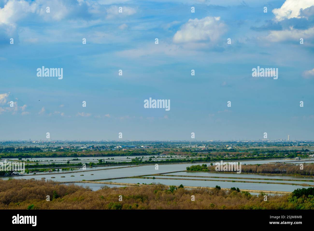 Captivating aerial view of a sprawling mangrove forest surrounded by ...