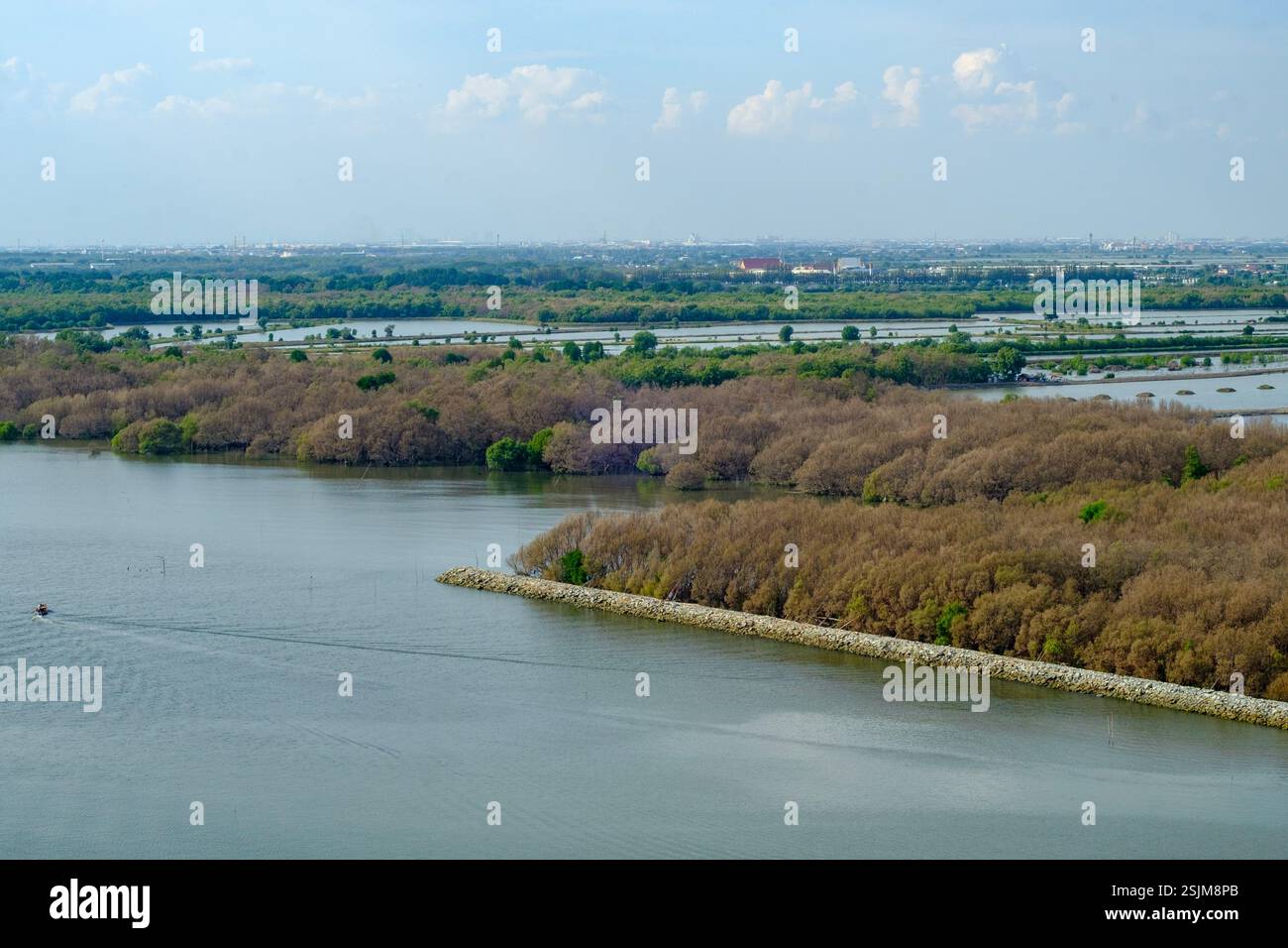 Captivating aerial view of a sprawling mangrove forest surrounded by ...
