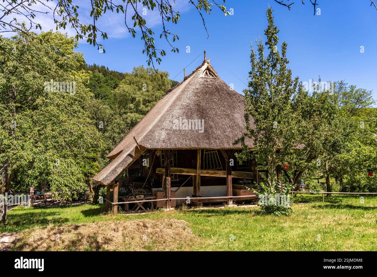 Historic farmhouse in the black forest open air museum vogtsbauernhof ...