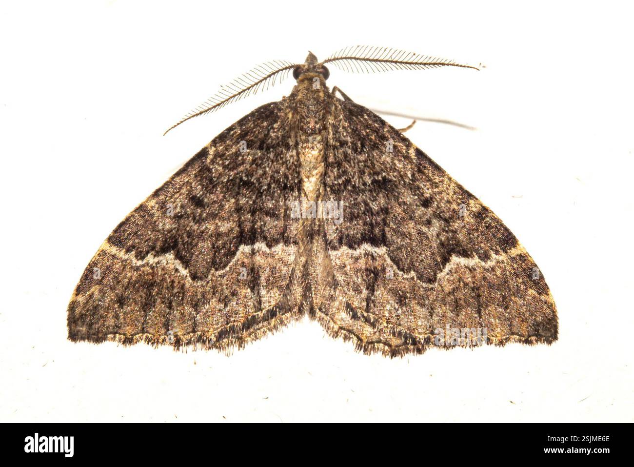 Ida river Cut Out Stock Images & Pictures - Alamy