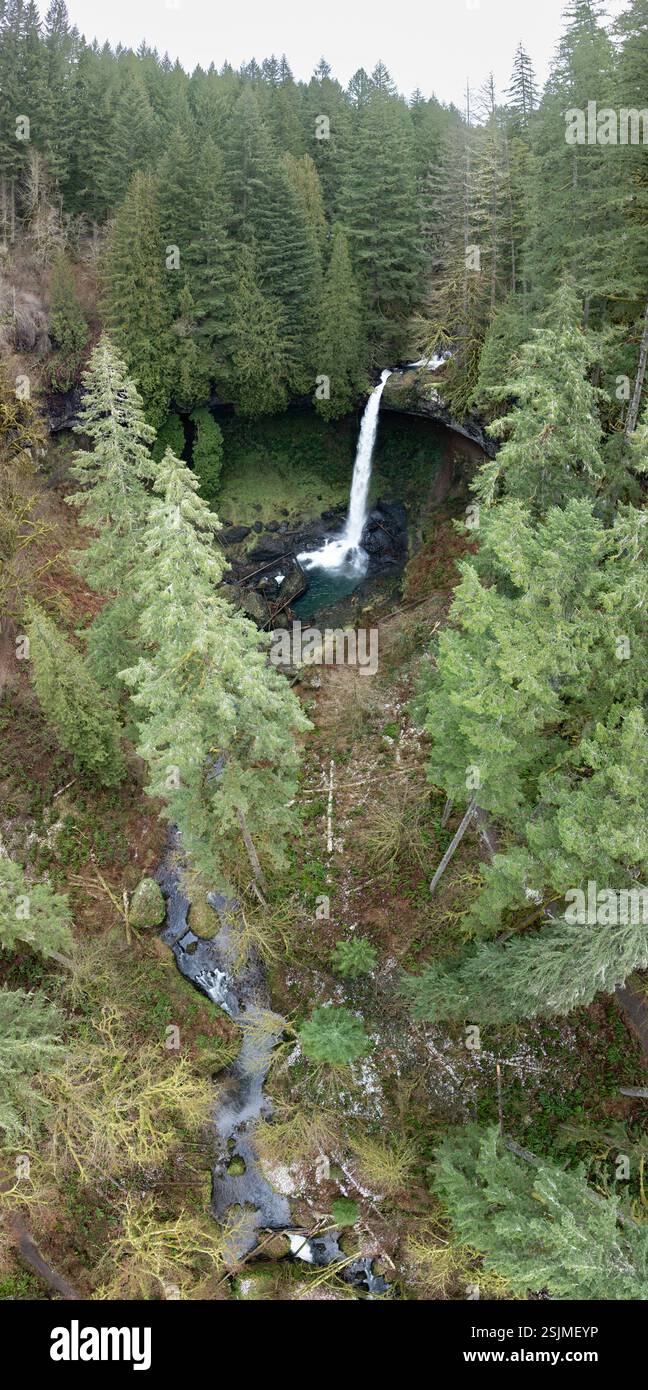 A beautiful waterfall flows amid a healthy forest in Oregon. The entire ...