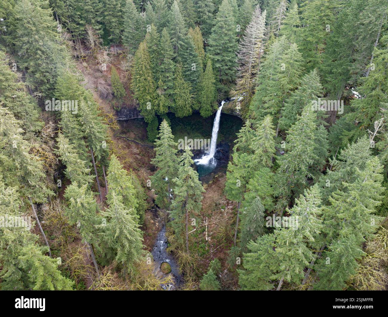 A beautiful waterfall flows amid a healthy forest in Oregon. The entire ...