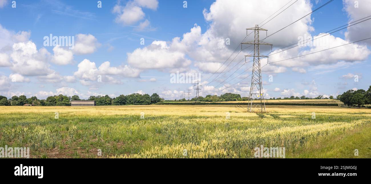 Electricity pylons against a blue sky, panoramic landscape. National ...