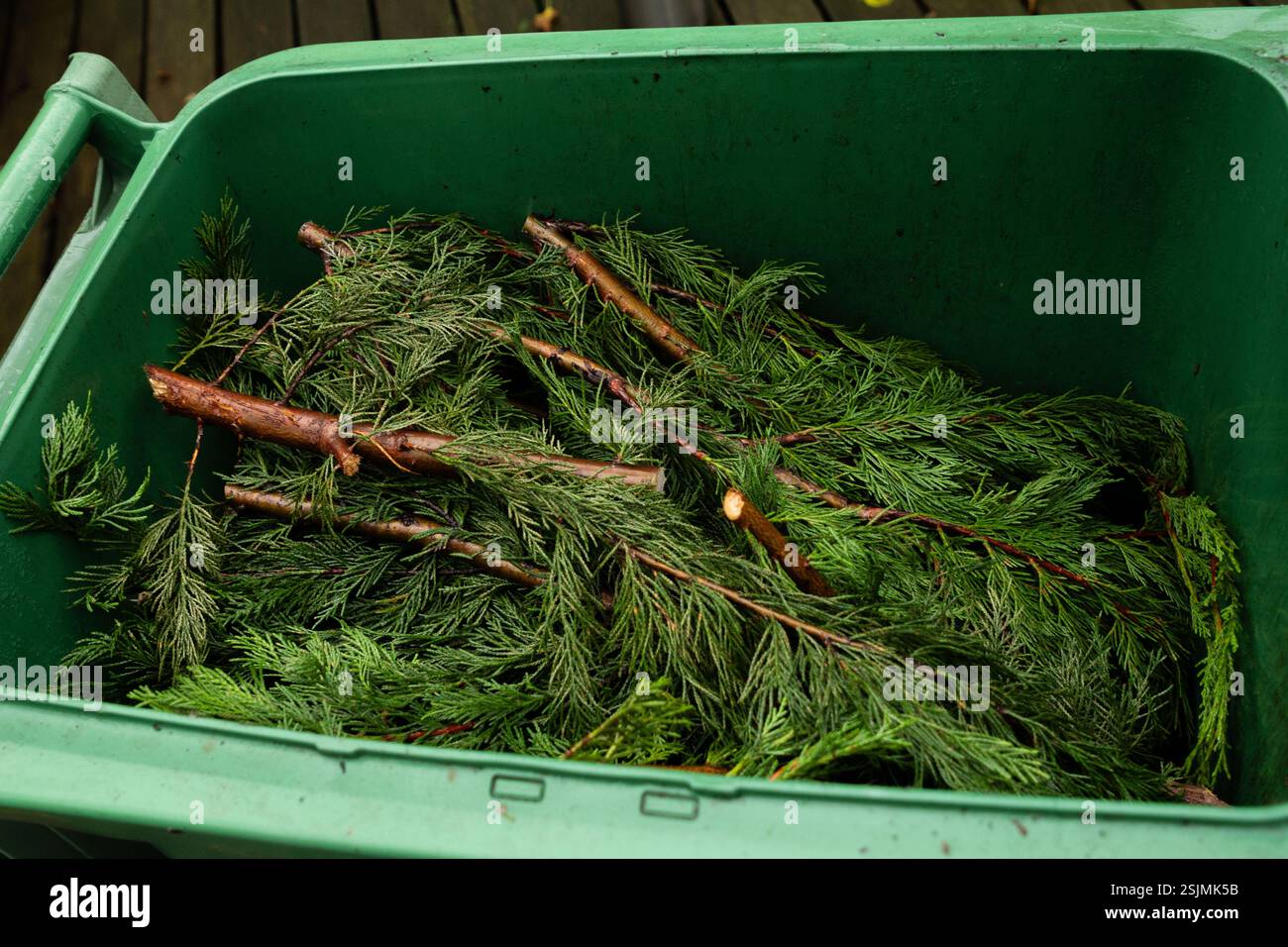 Three discarded green branches, forming a pile of natural waste, with ...
