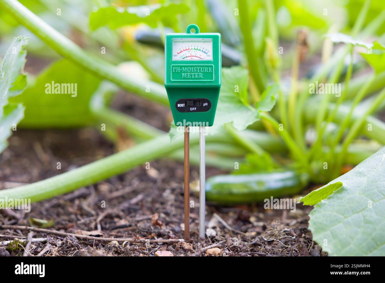 Soil moisture meter and ph meter testing the ground in a UK vegetable ...