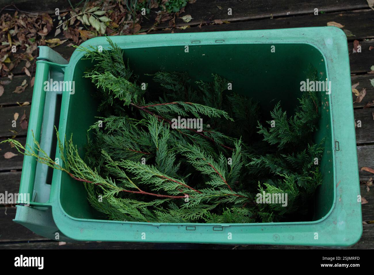 Three discarded green branches, forming a pile of natural waste, with ...