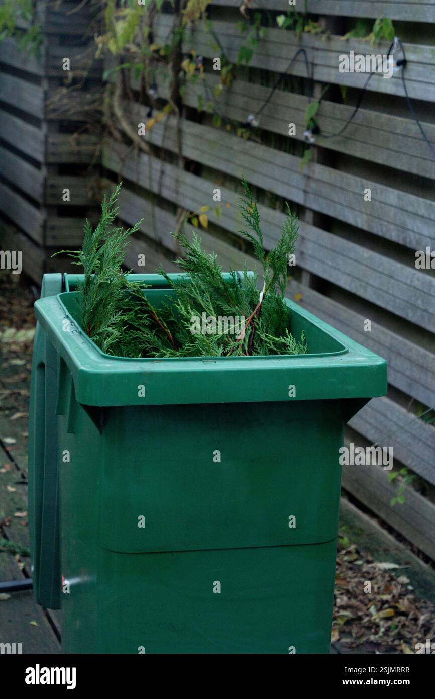 Three discarded green branches, forming a pile of natural waste, with ...