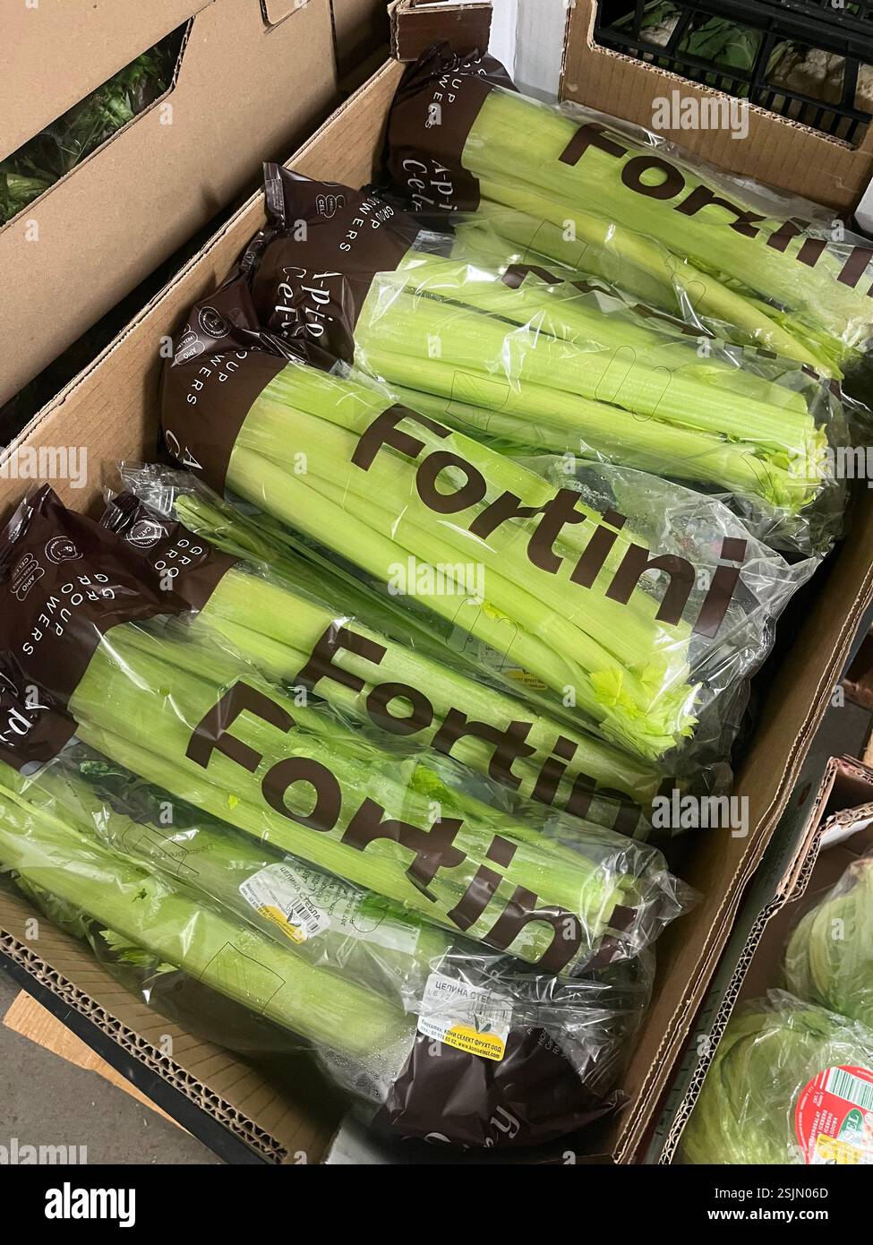 celery sticks, packaging, packages, packed celery, Fortini, Spanish, Spain, vegetables ...