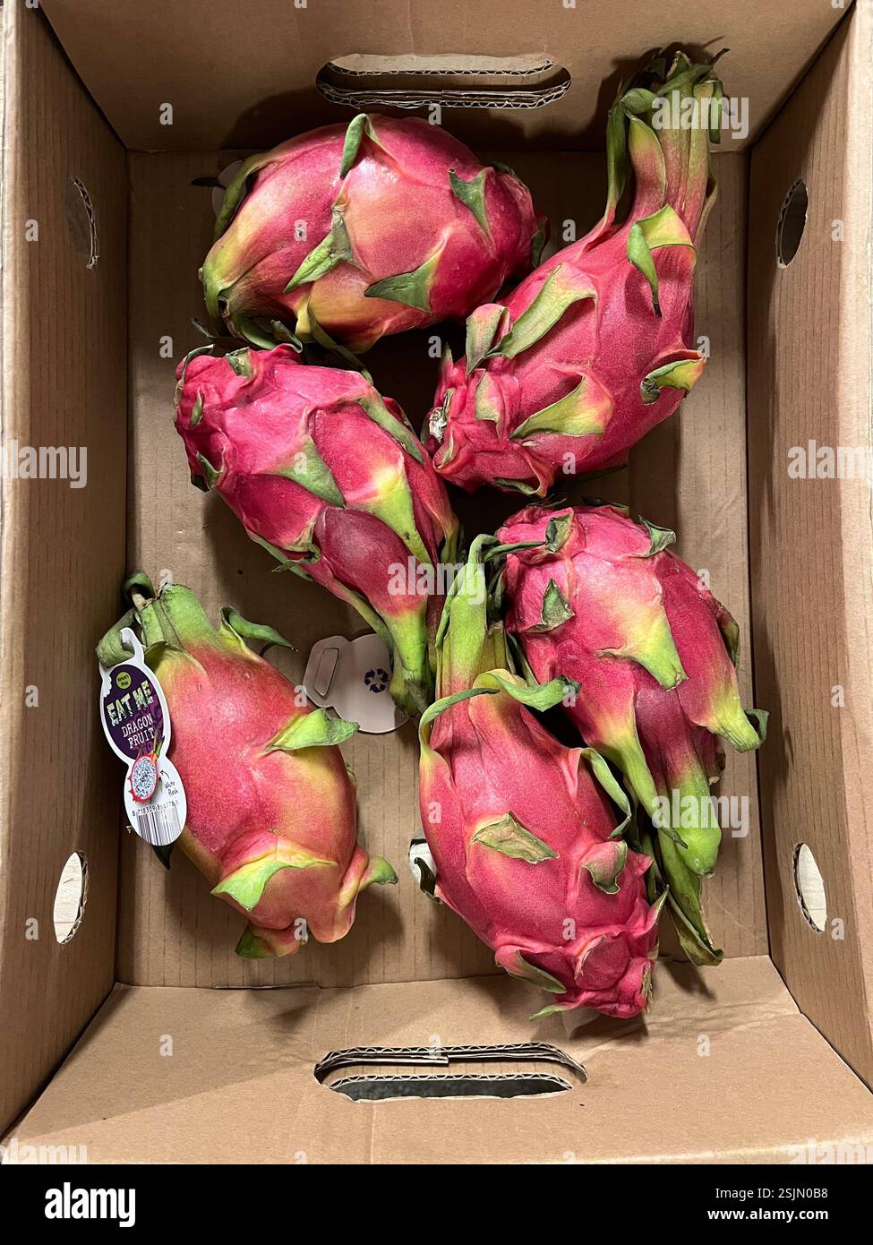 Dragon fruit, Pitahaya, Pitaya, cactus fruits, crate, dragonfruits, South American fruits, South ...