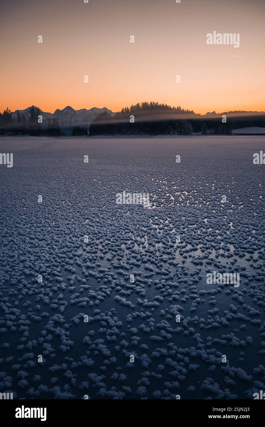 Frozen Ilasbergsee / Forggensee in Ostallgäu with snow cover and alpine ...