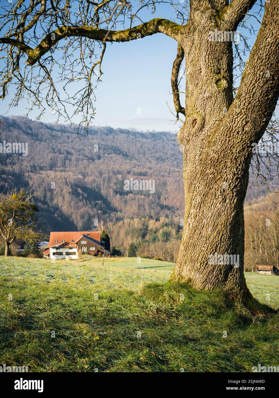 Zürich hirzel switzerland hi-res stock photography and images - Alamy