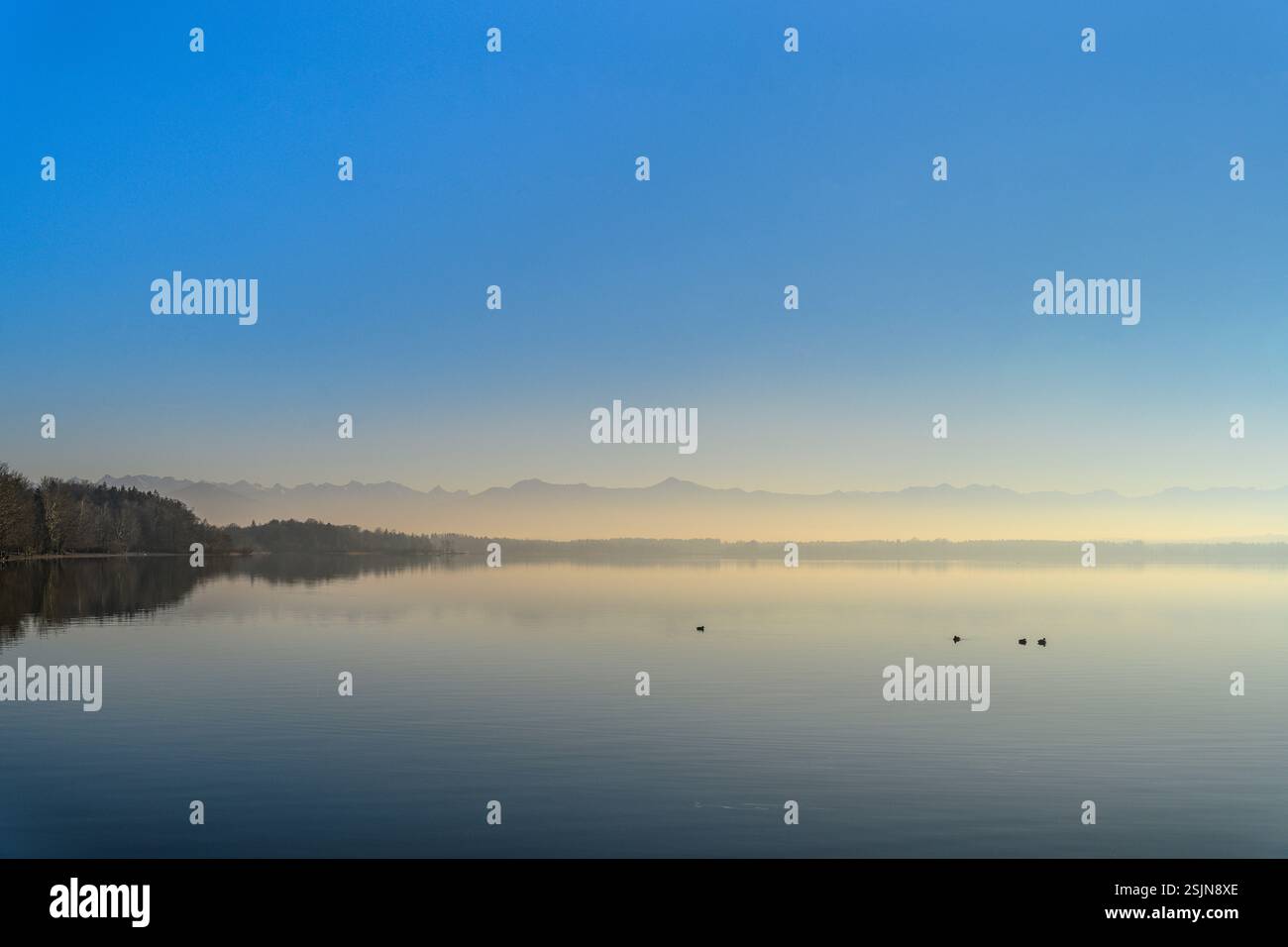 Germany, Bavaria, Tölzer Land, Lake Starnberg, Münsing, district Ambach ...