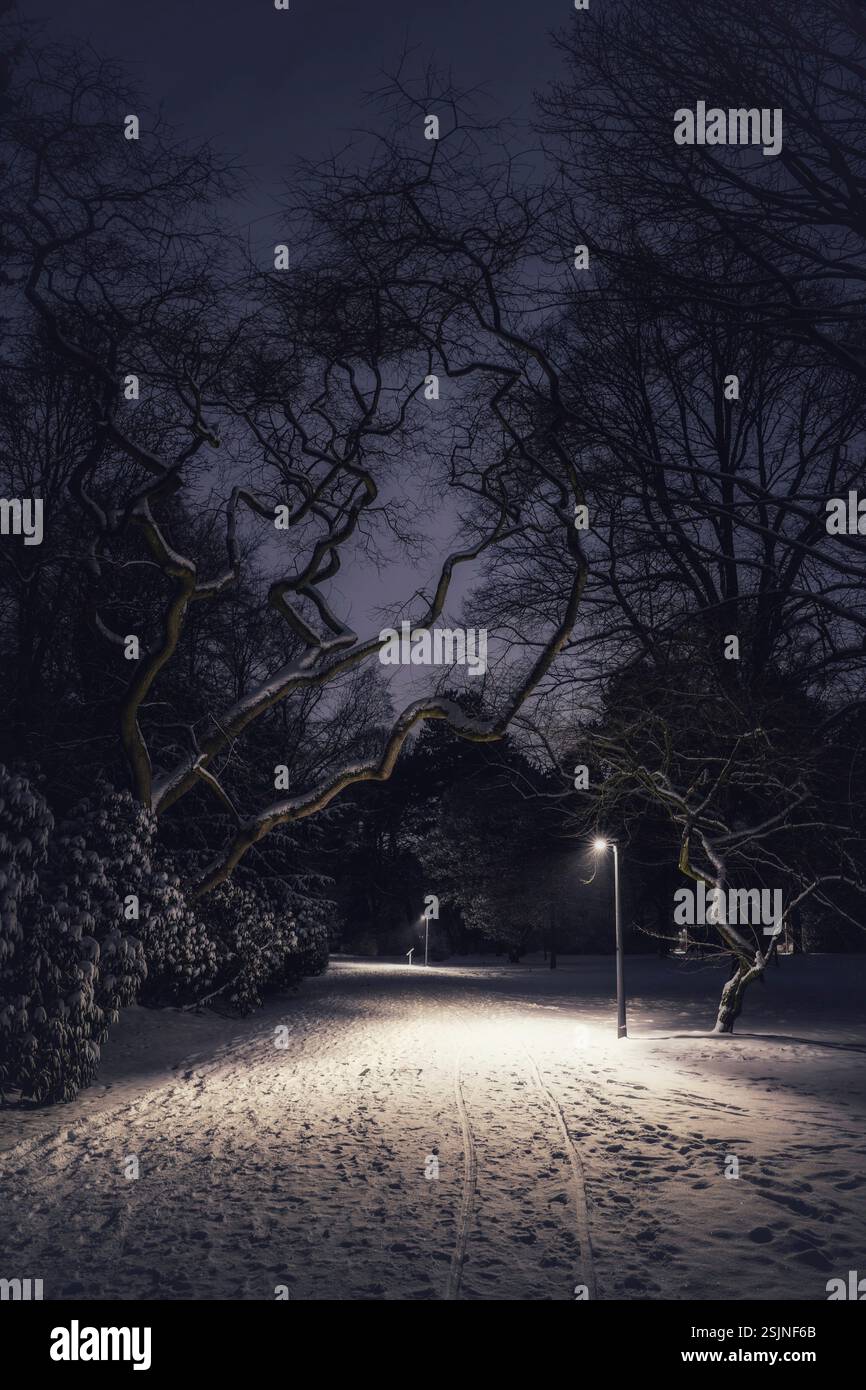 Night time city park hi-res stock photography and images - Alamy