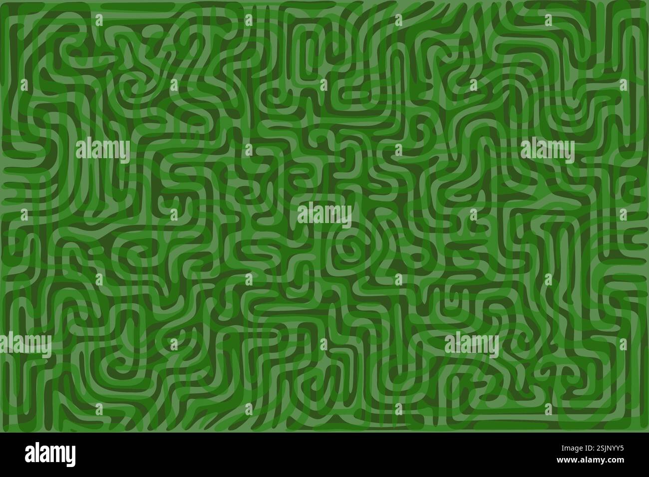 Intricate green line pattern displays a mesmerizing maze-like design ...