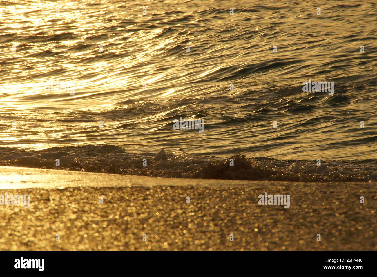 Golden Beach, Bahamas. Golden sand meets golden waves. Warm, sun-kissed scene. A picture of ...