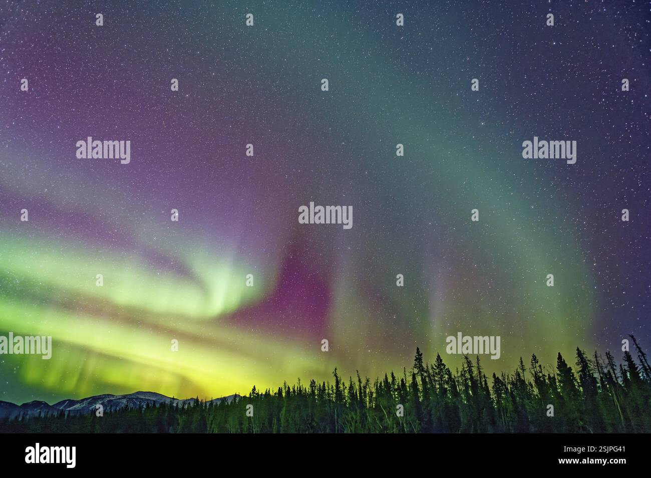 Aurora Borealis, Northern Lights, extreme starry sky, intense colouring ...