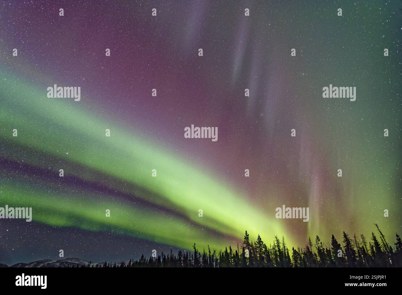 Aurora Borealis, Northern Lights, extreme starry sky, intense colouring ...