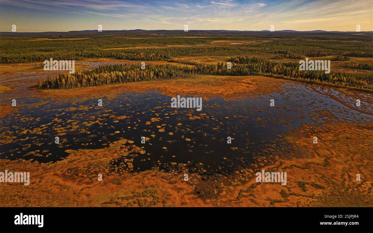 Bog, back woods, autumn, intense colouring, drone shot, Lapland ...
