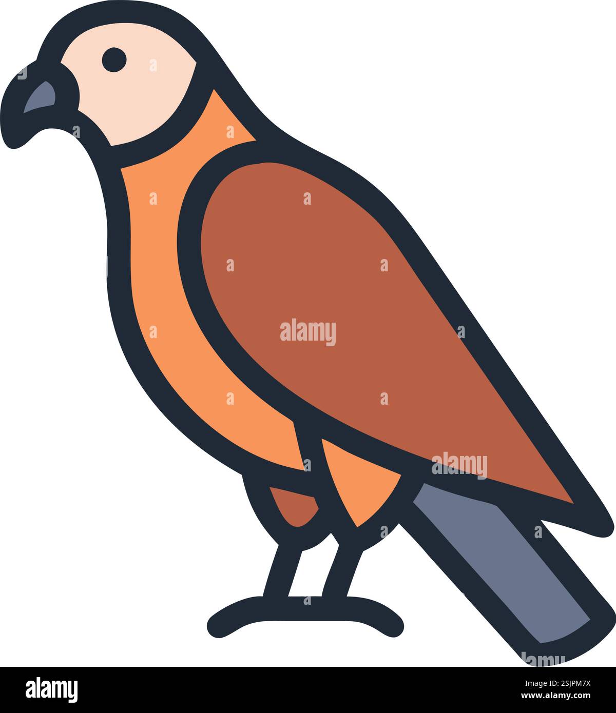 Desert wildlife hawk icon illustration Stock Vector Image & Art - Alamy