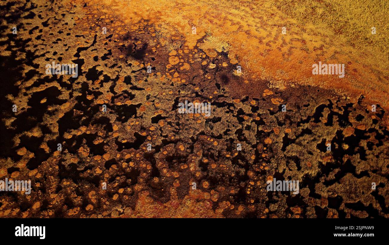 Moor, autumn, intense colouring, without horizon, drone shot, Lapland ...