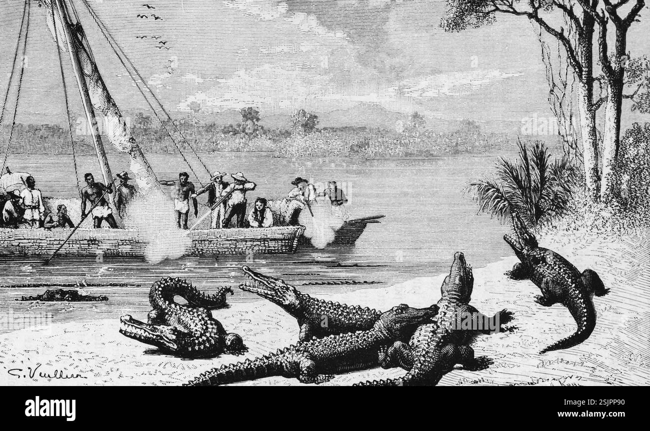 Hunting with a rifle for alligators and crocodiles in the South ...