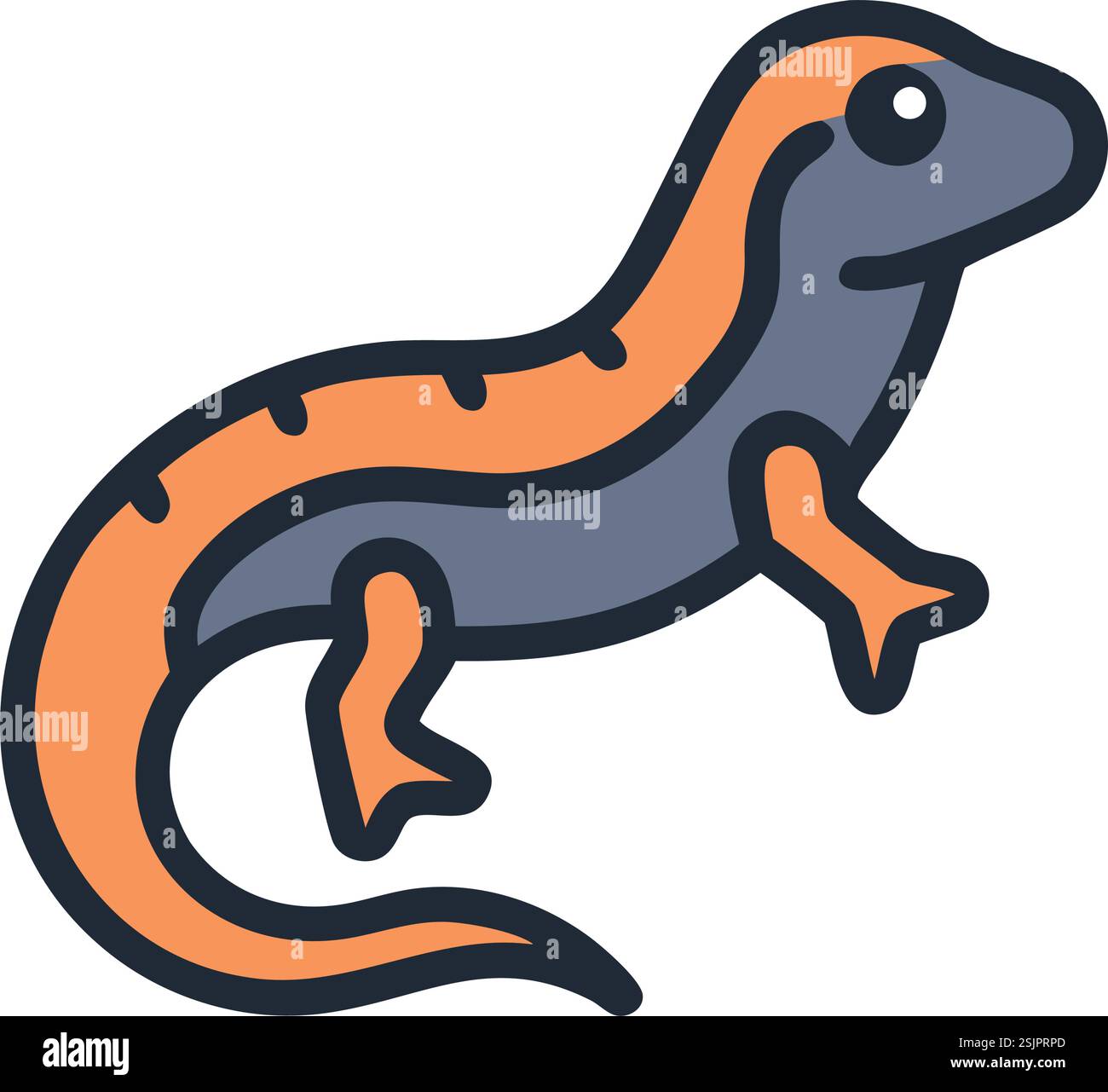 Desert wildlife salamander icon illustration Stock Vector Image & Art ...