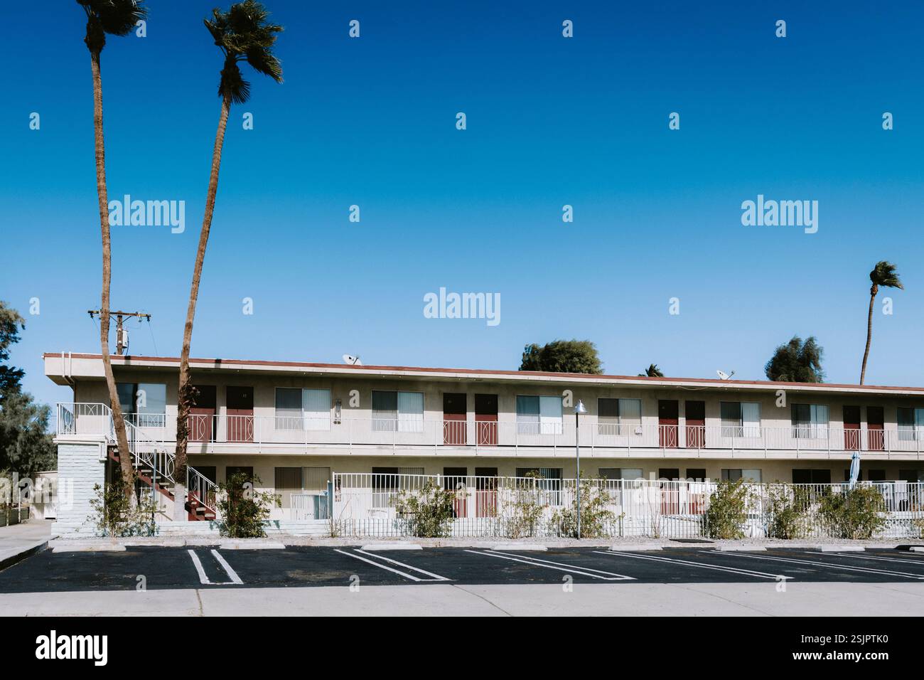 Palm Springs motel, midcentury, Palm trees, Southern California Stock ...
