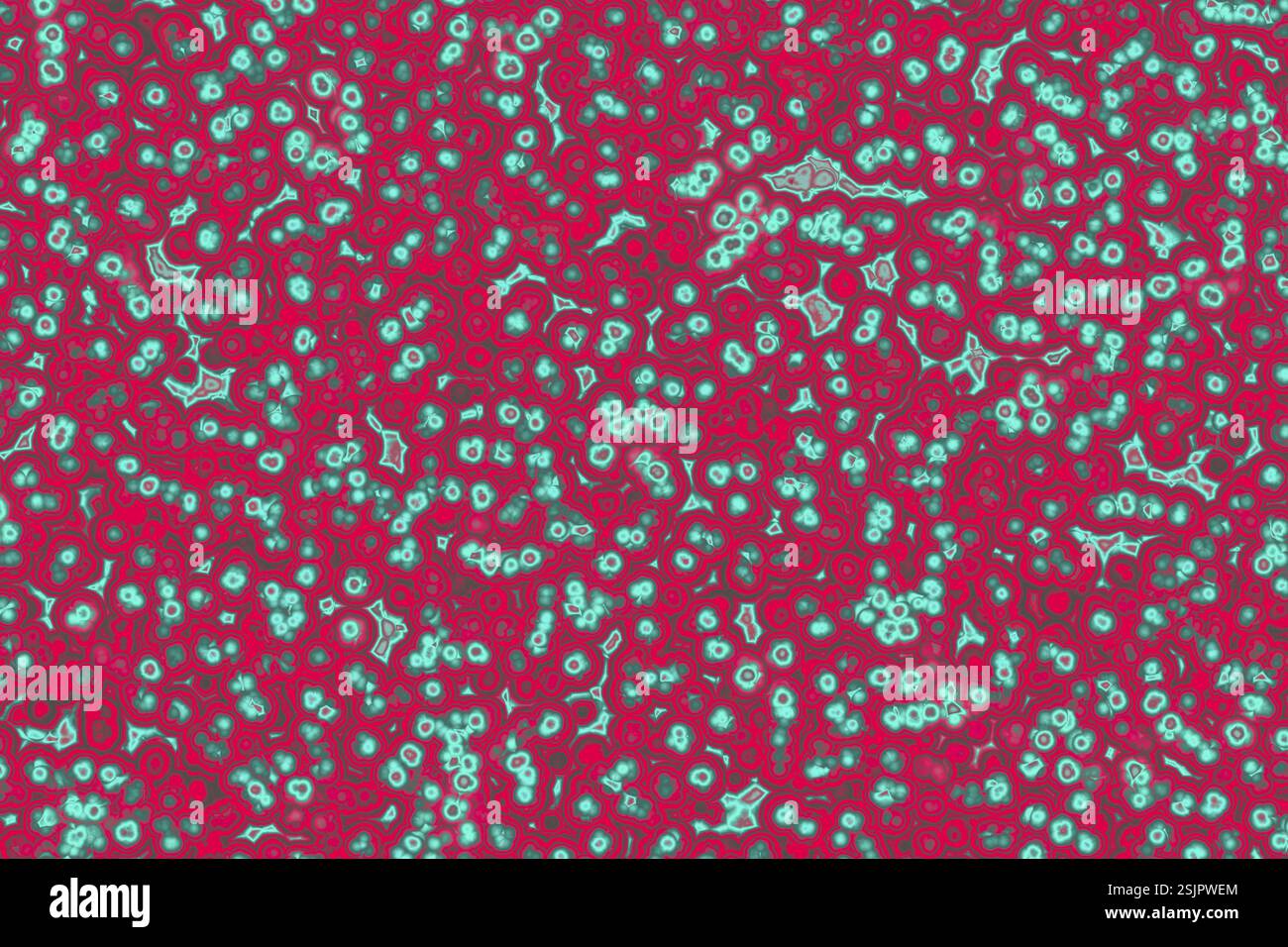 Shape of bacterial cell: cocci, bacilli, spirilla bacteria background ...